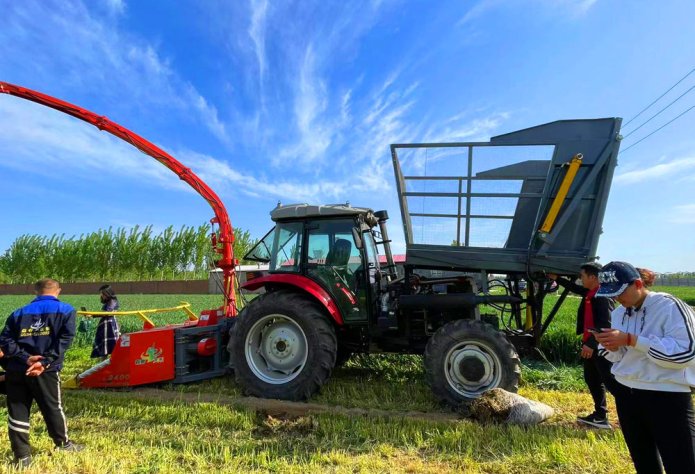 Forage Harvester_Silage Chopper_Silage Harvester_Mounted Forage ...